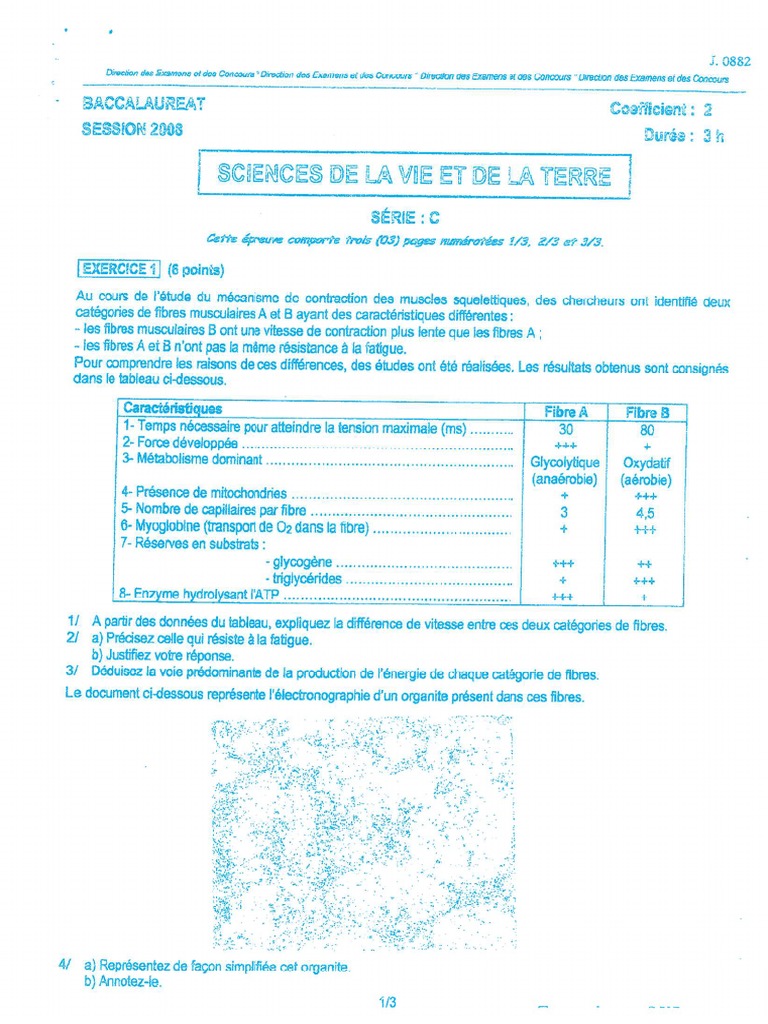 Bac C SVT 2008 | PDF
