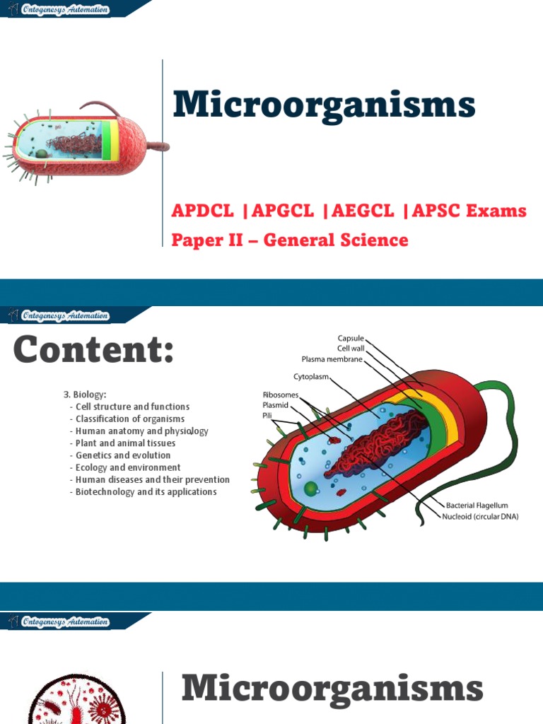 2 GS Microorganisms | PDF | Microorganism | Bacteria