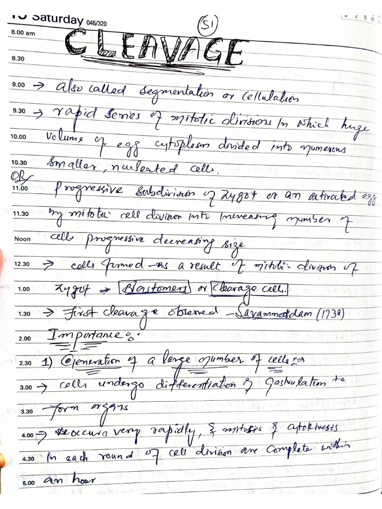 Chp 3 Cleavage Pdf