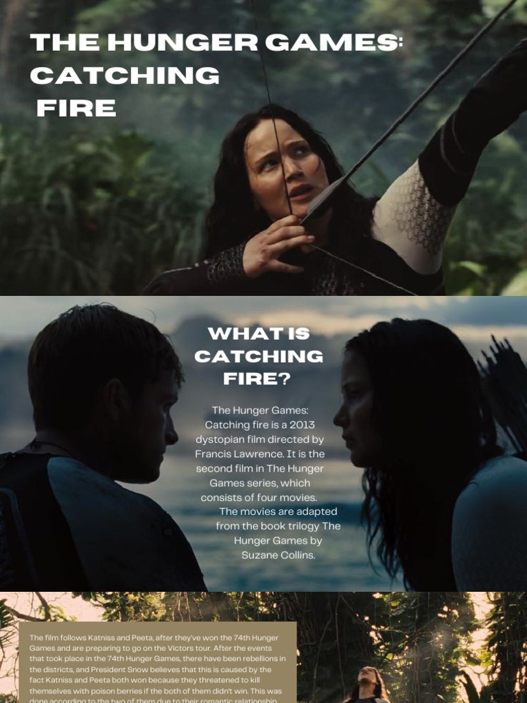 Catching Fire: Overview and Summary | PDF