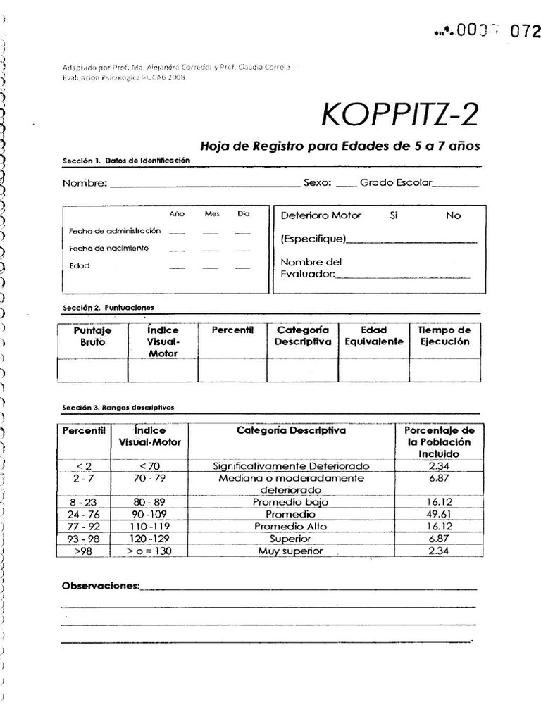 Bender Koppitz 2 - Hoja de Registro. | PDF