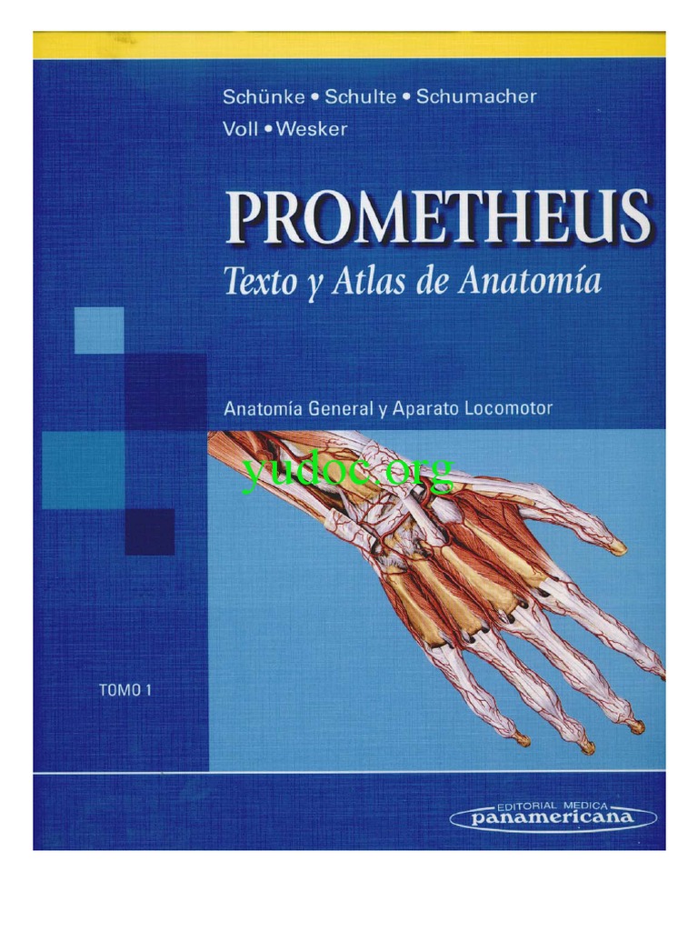 Prometheus Tecto y Atlas de Anatomia - Anatomia General y Aparato ...