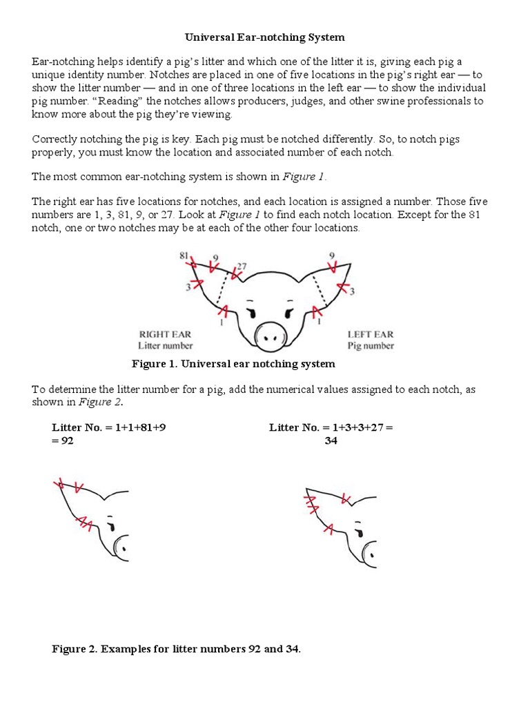 Universal EarNotching | PDF