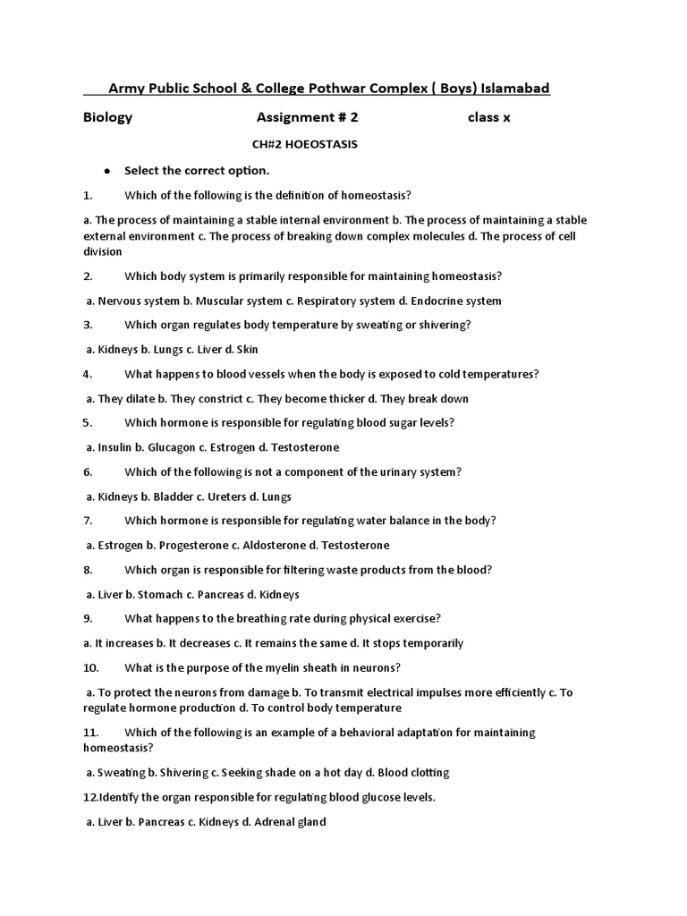 Assignment 2 Pdf Homeostasis Human Body