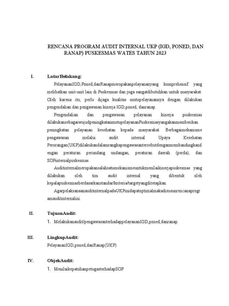 Audit Ukp 2023 Ranap | PDF