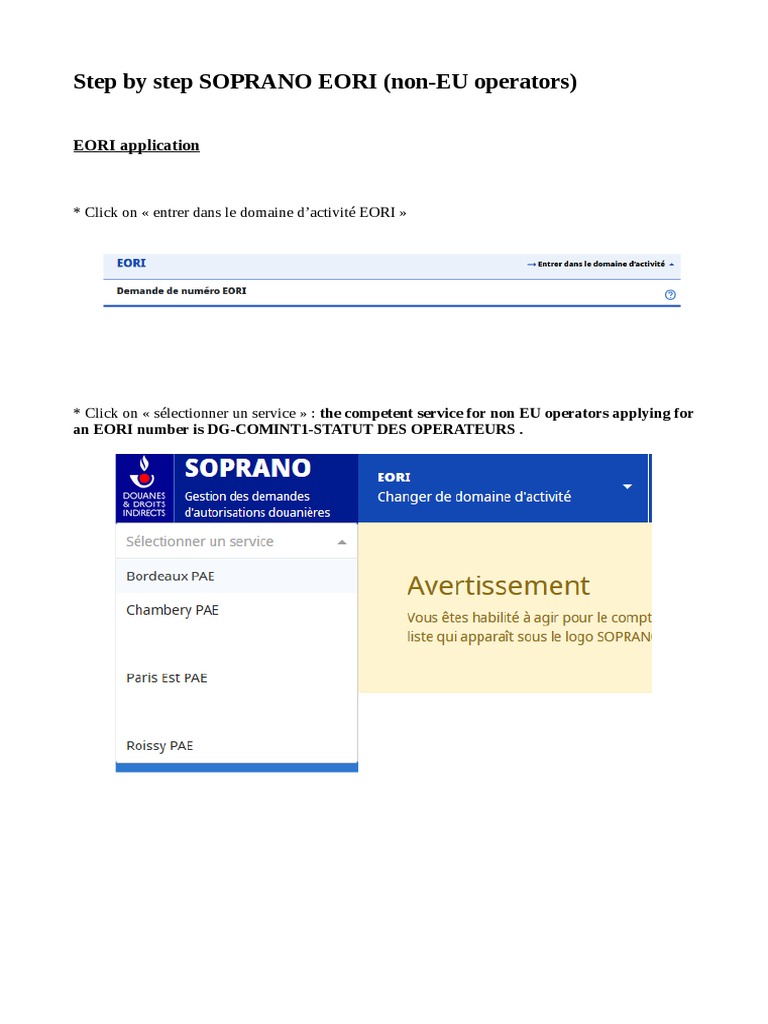 EORI Application Guide for Non-EU Operators | PDF | Finance & Money Management