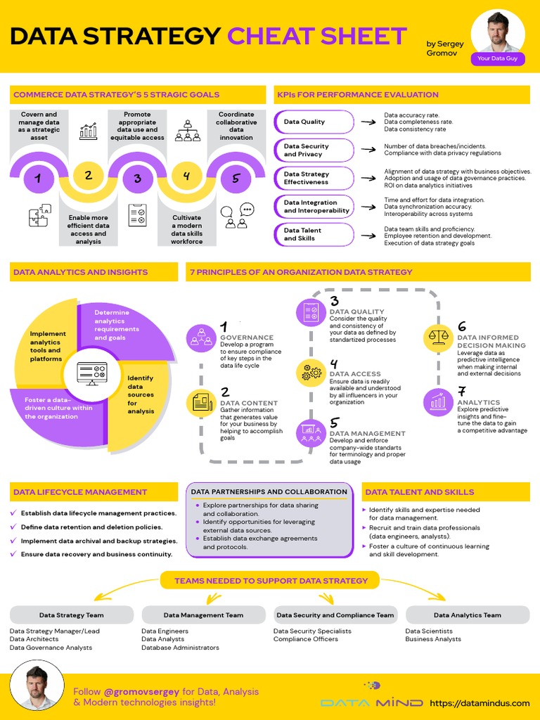 Data Strategy Pdf