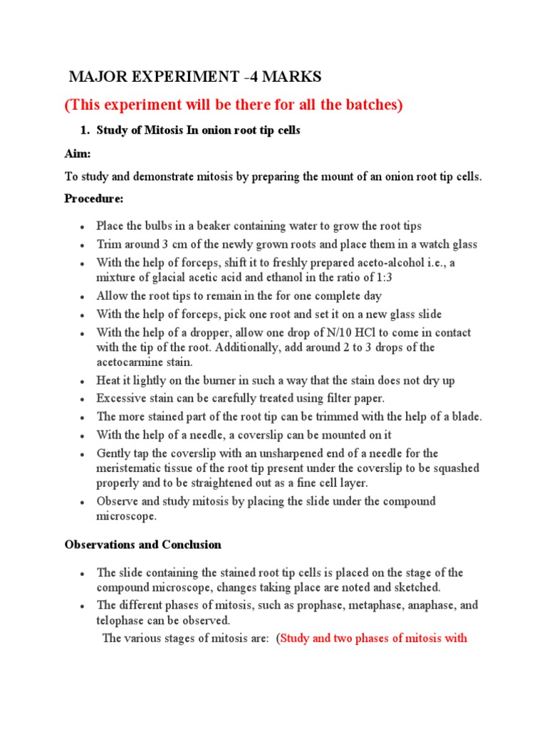 Biology Practical Notes To Study | PDF | Mitosis | Cell Biology