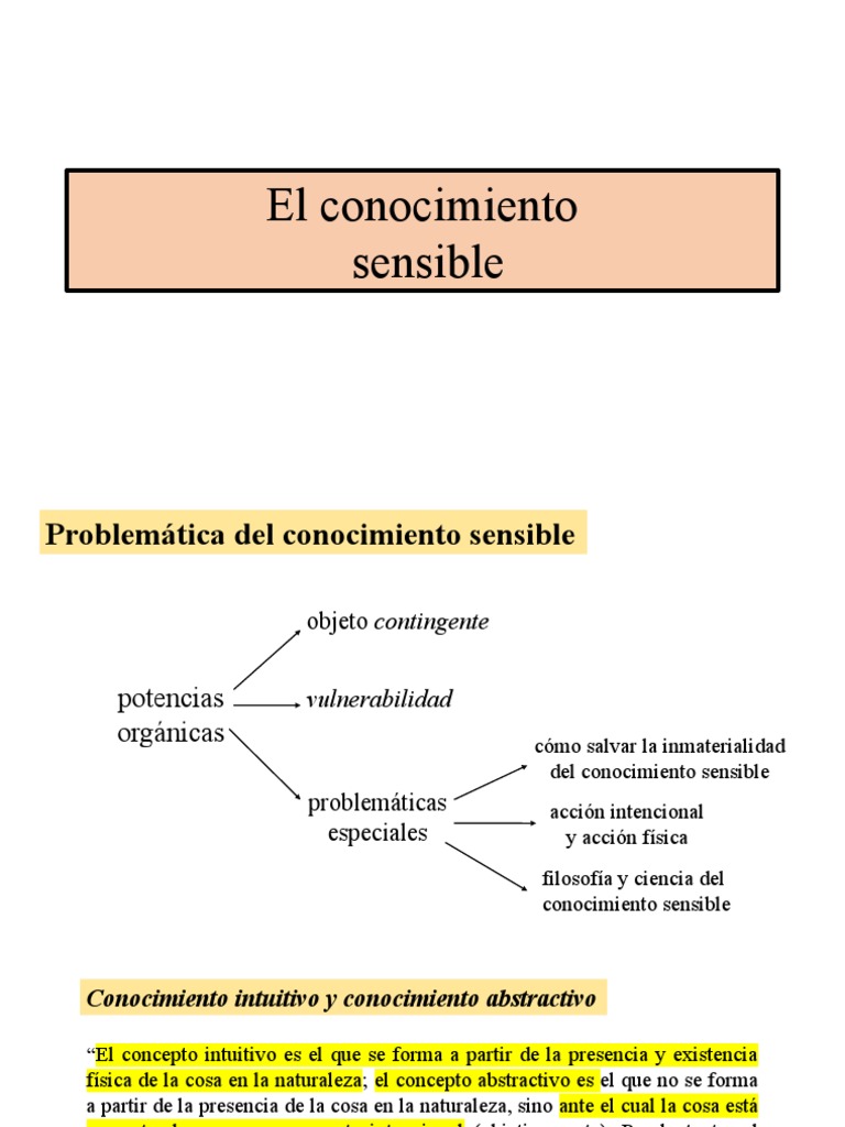 Conocimiento Sensible | PDF | Conocimiento | Intuición