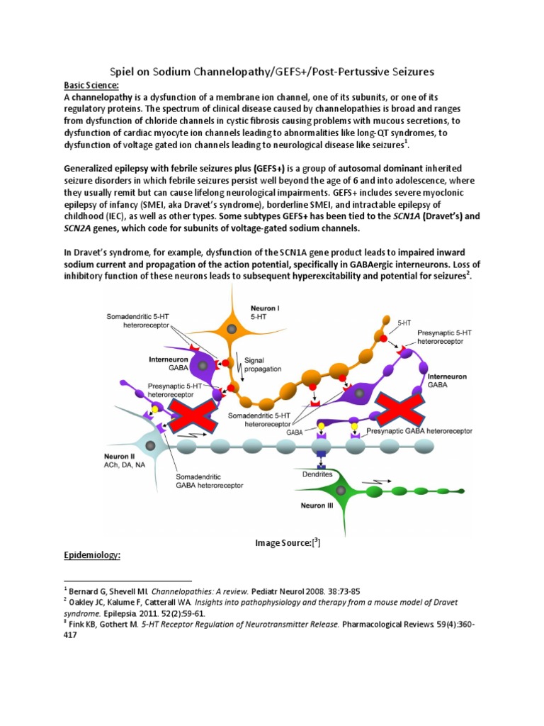 Spiel On Sodium Channelopathy/GEFS+/Post-Pertussive Seizures | PDF ...