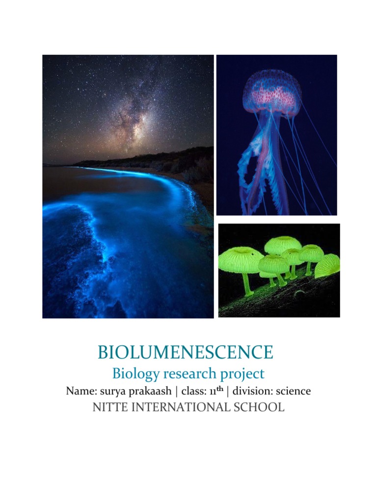 Bioluminescence for Science Students | PDF