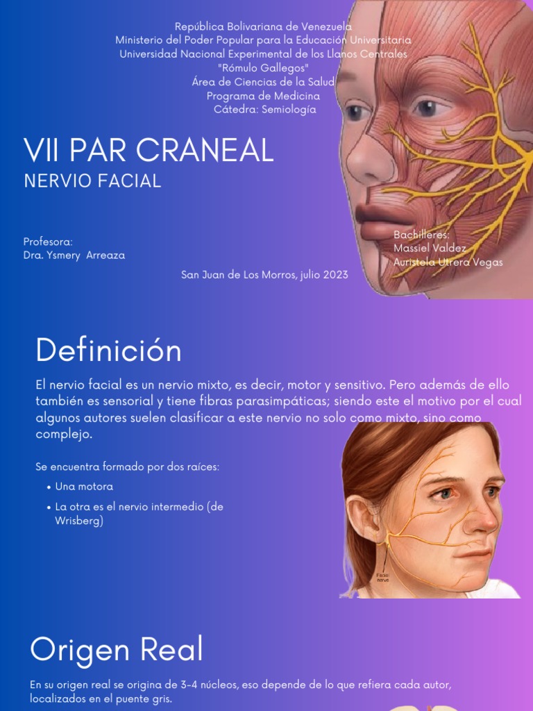 VII Par Craneal (1) | PDF | Relaciones personales, crianza y desarrollo ...