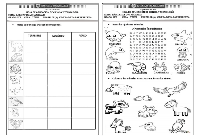 Hábitat de Animales para Primer Grado | PDF | Estudios de idiomas ...