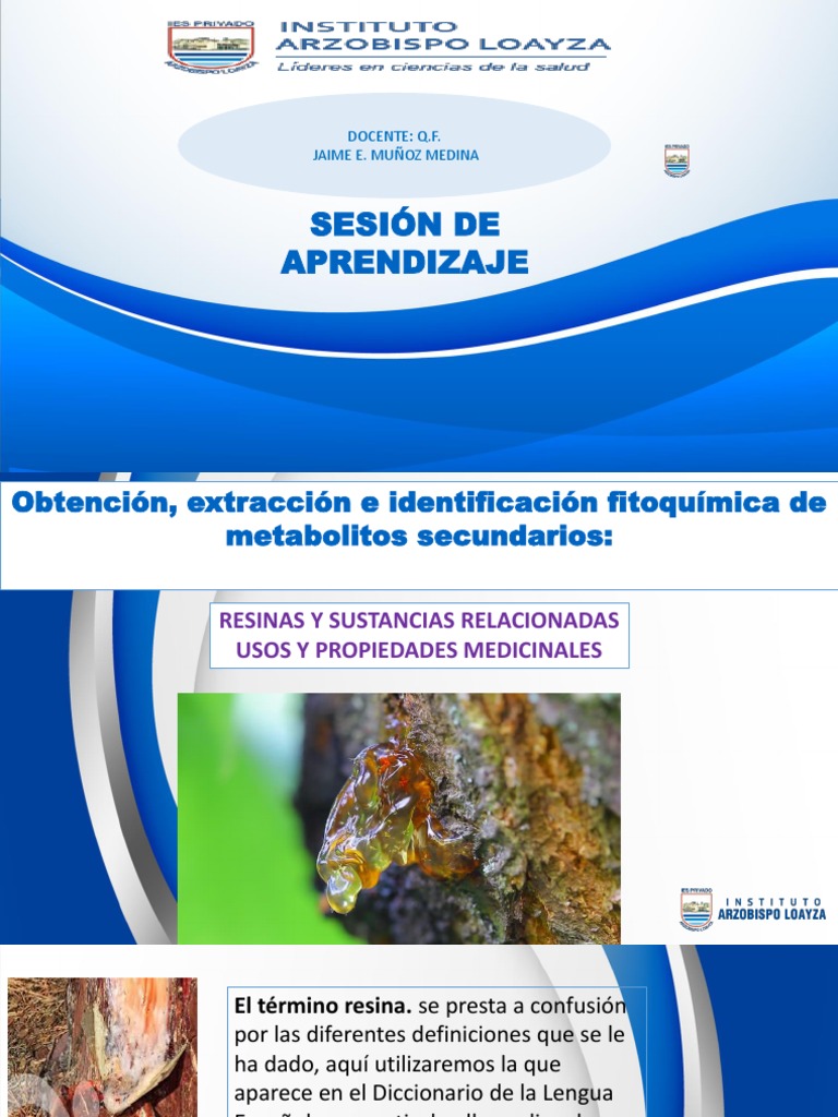 CLASE 8 Resinas y Derivados | PDF