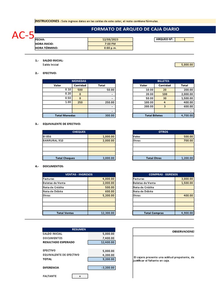 Formato de Arqueo de Caja Diario | PDF