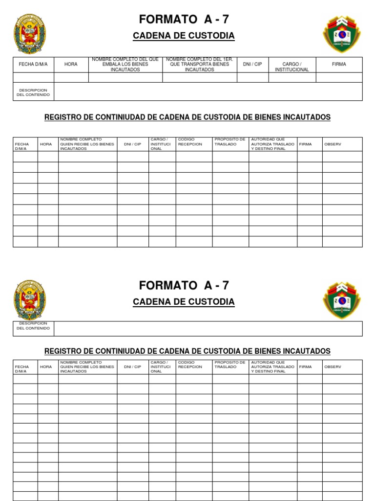 Formato A 7 De Cadena De Custodia Pdf Negocios