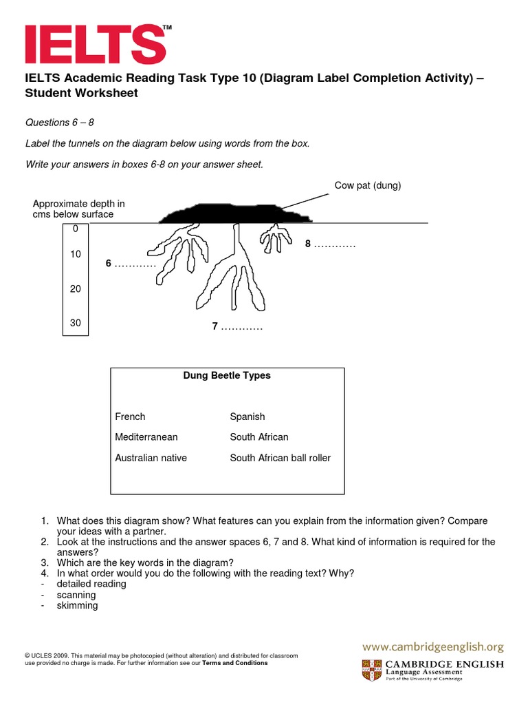 Ielts Diagram Completion Reading | PDF