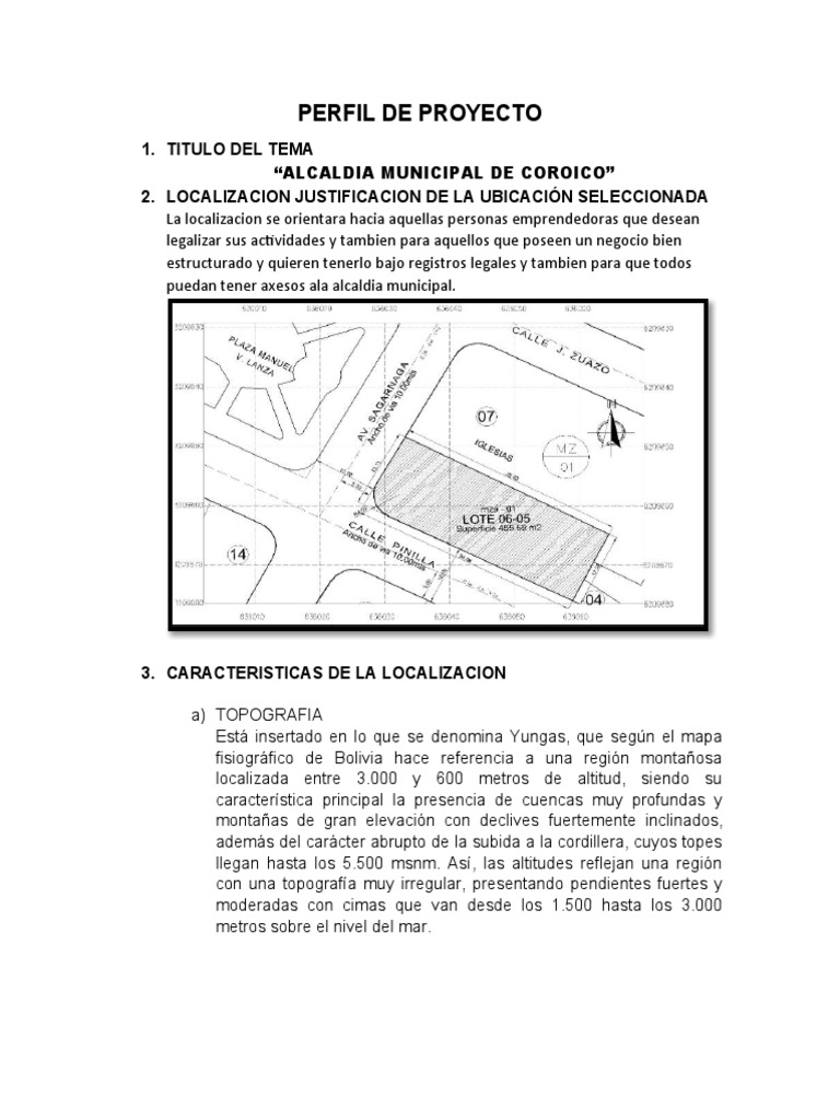 Perfil de Proyecto | PDF