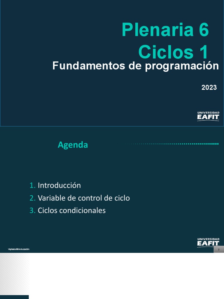 Ciclos en Programación | PDF