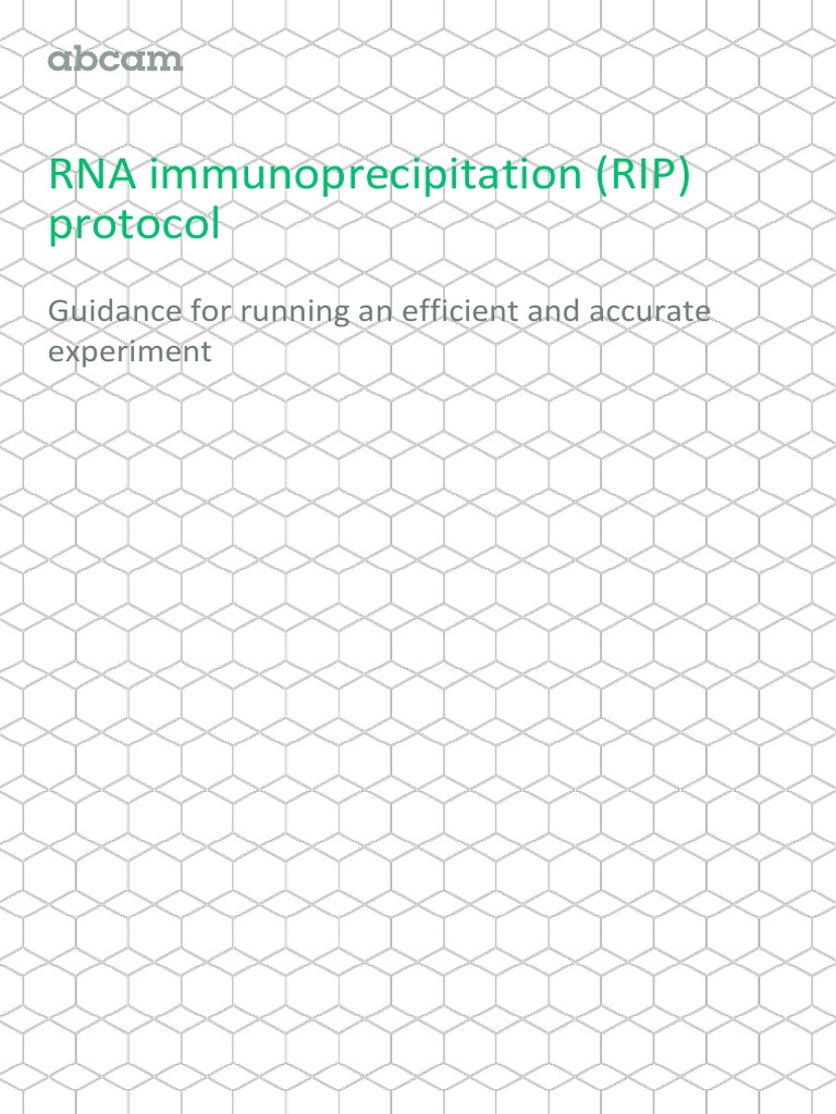 RNA Immunoprecipitation Protocol | PDF