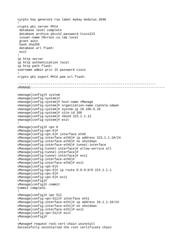 Cisco SDWAN Commands | PDF