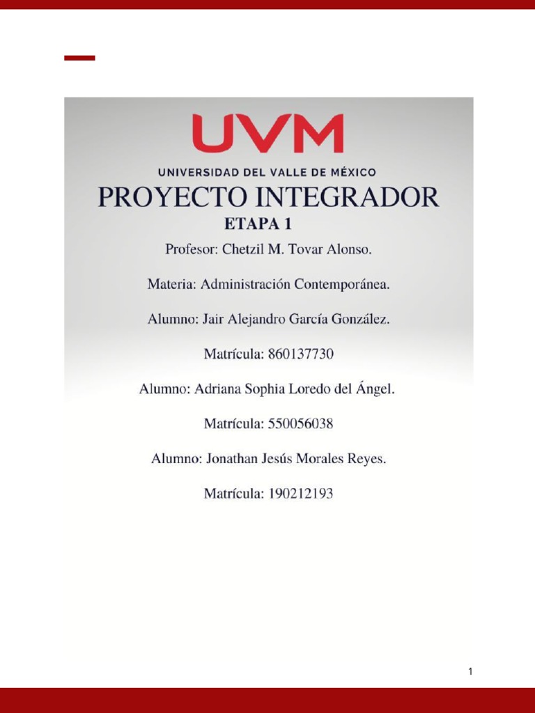 A2-Proyecto Integrador pt1 | PDF | Negocios