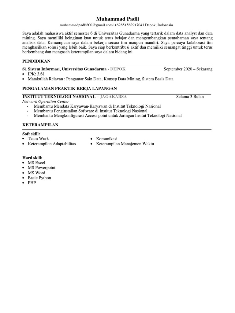 CV Muhammad Padli Data Analyst | PDF