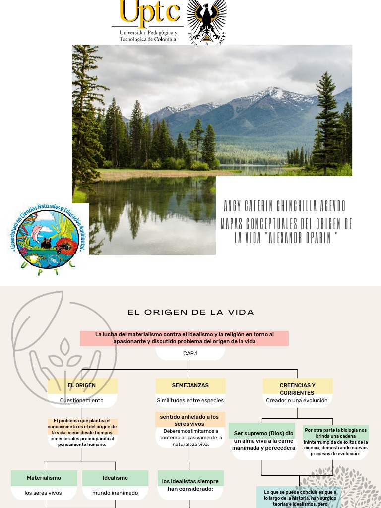 Mapas Conceptuales El Origen de La Vida | PDF