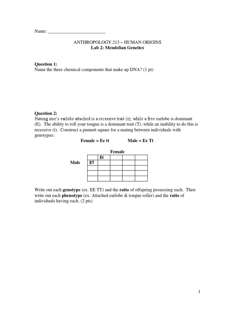 Anth 213 Lab 2 | PDF