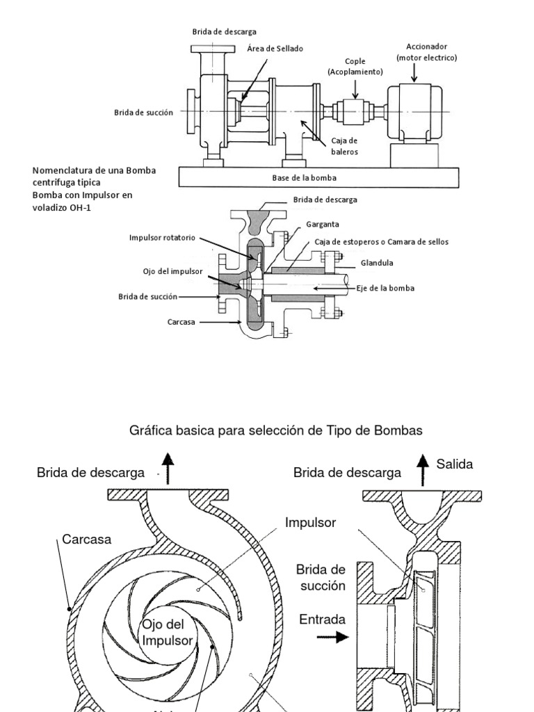 Partes Basicas de Una Bomba | PDF | Bomba | Física Aplicada e ...