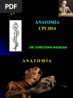 Anatomía y Fisiología Anorectal | PDF | Recto | Sistema digestivo