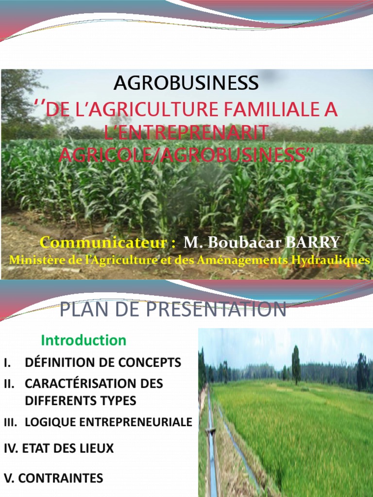 L Agrobusiness | PDF | Affaires | Sciences sociales
