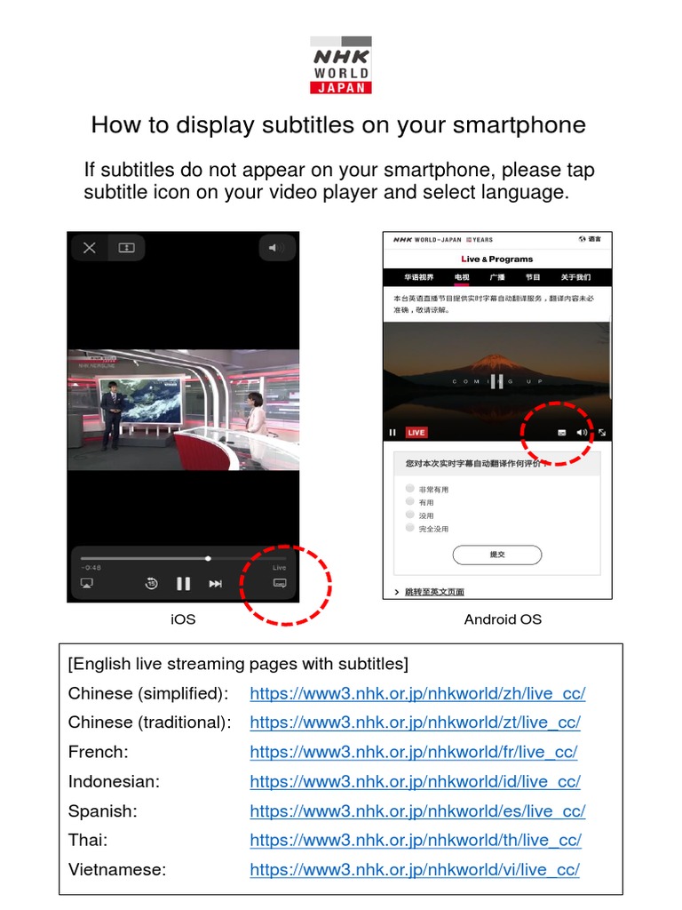 Display Subtitles | PDF