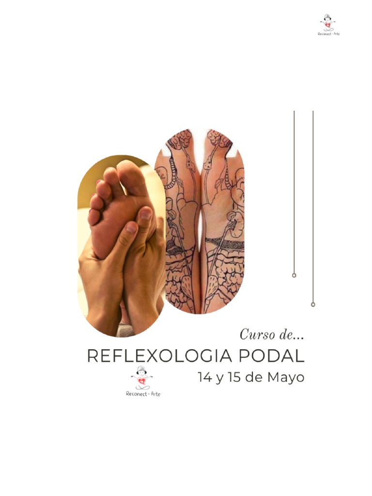 Manual Reflexología Podal | PDF