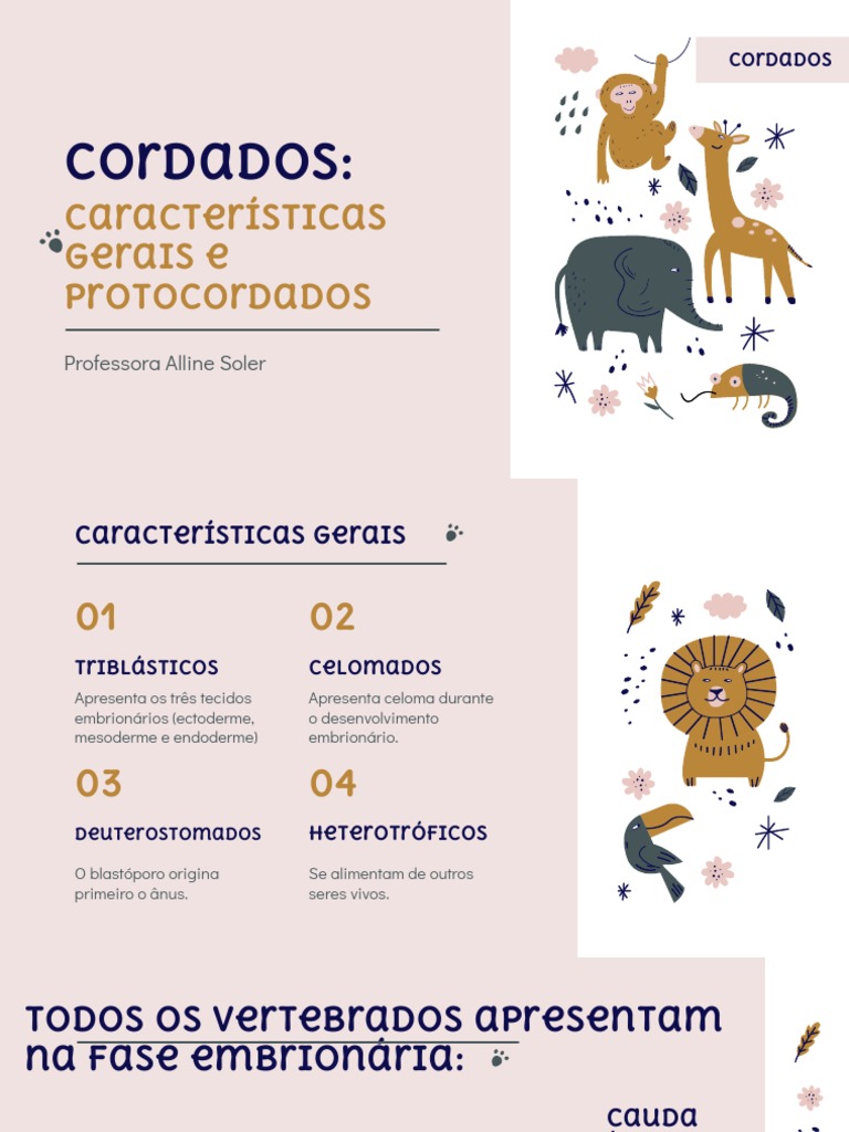 Cordados:: Características Gerais e Protocordados | PDF
