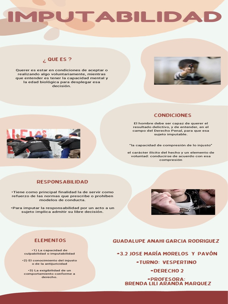 Imputabilidad Infografia | PDF | Ley Pública | Justicia penal