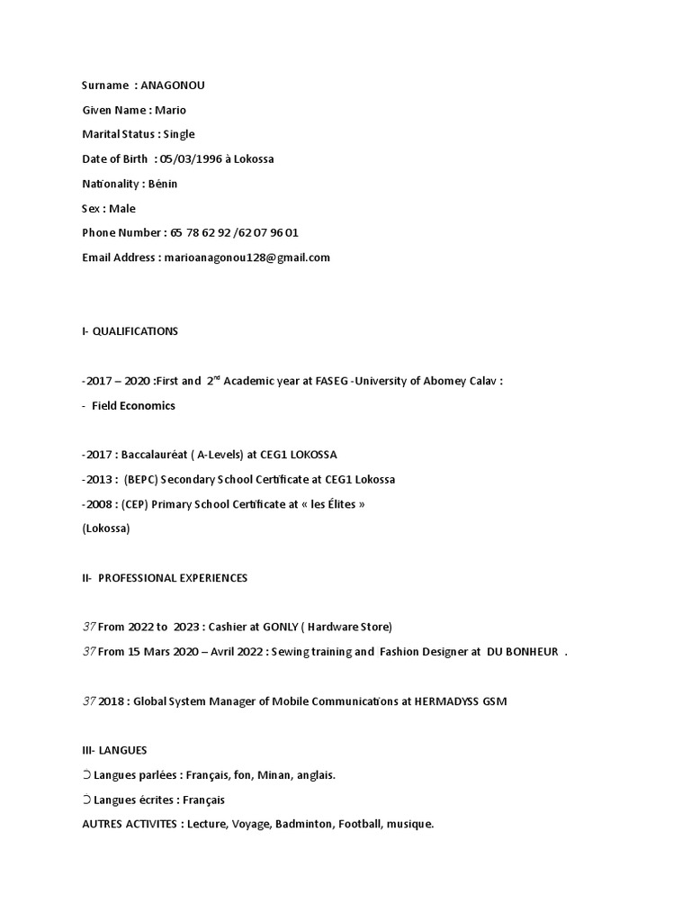 Mario Anagonou's CV and Qualifications | PDF | Business