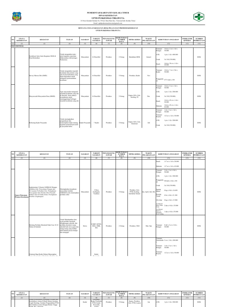 CONTOH RUK PROMKES | PDF