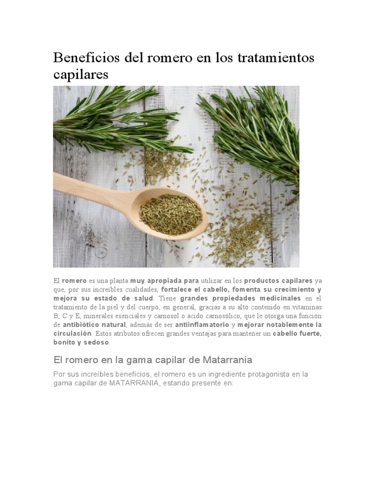 Beneficios Del Romero en Los Tratamientos Capilares | PDF | Champú | Capilar