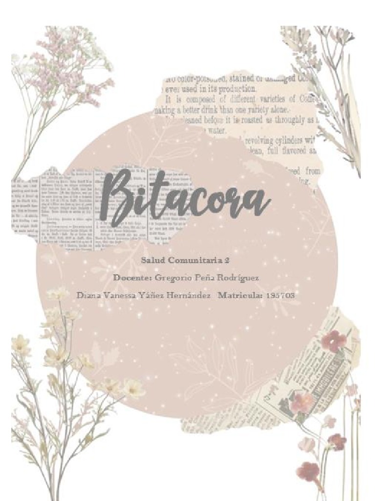 BITACORA III - Diana Vanessa Yañez Hernandez | PDF
