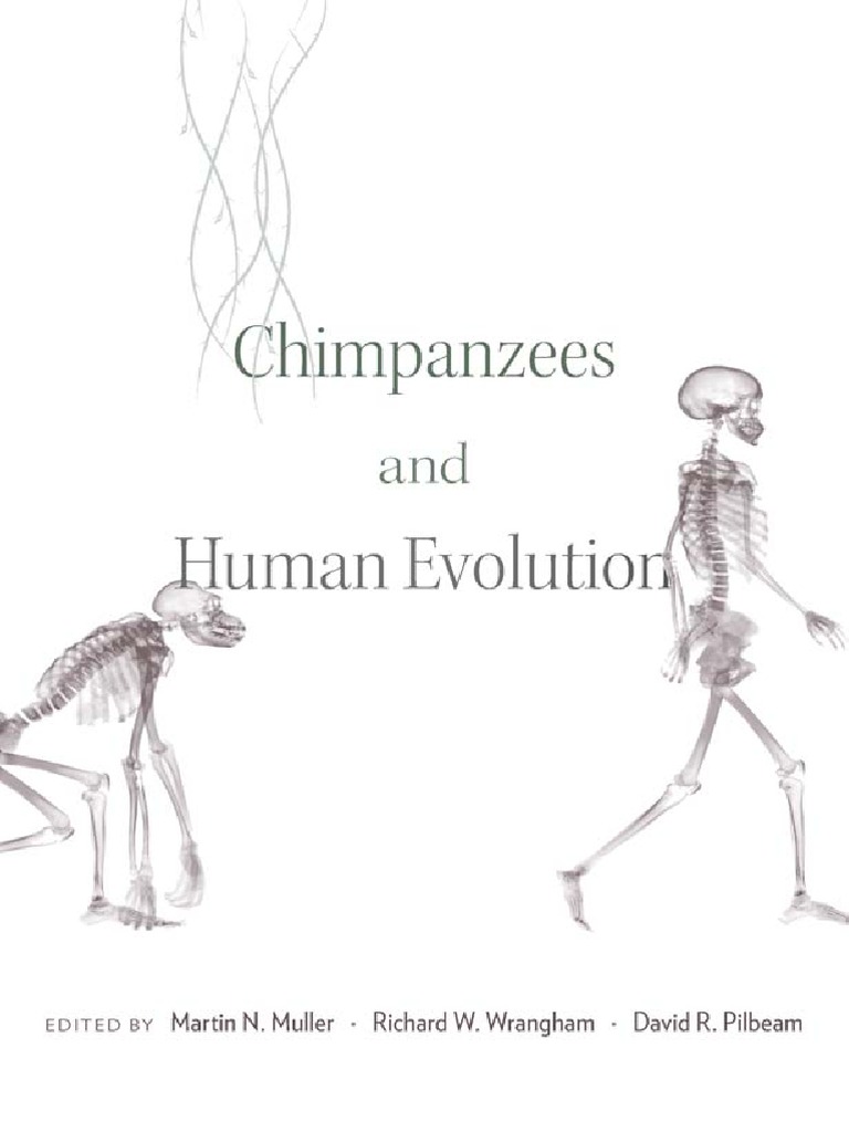 Martin N. Muller, Richard W. Wrangham, David R. Pilbeam - Chimpanzees ...