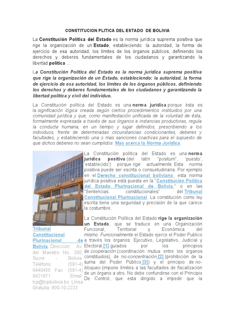 CONSTITUCION PLITICA DEL ESTADO DE BOLIVIA | PDF | Constitución ...