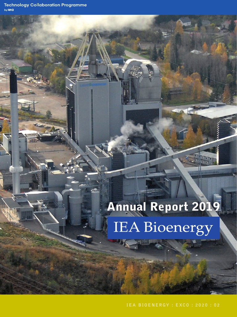 IEA Bioenergy Annual Report 2019 | PDF | Gasification | Biofuel