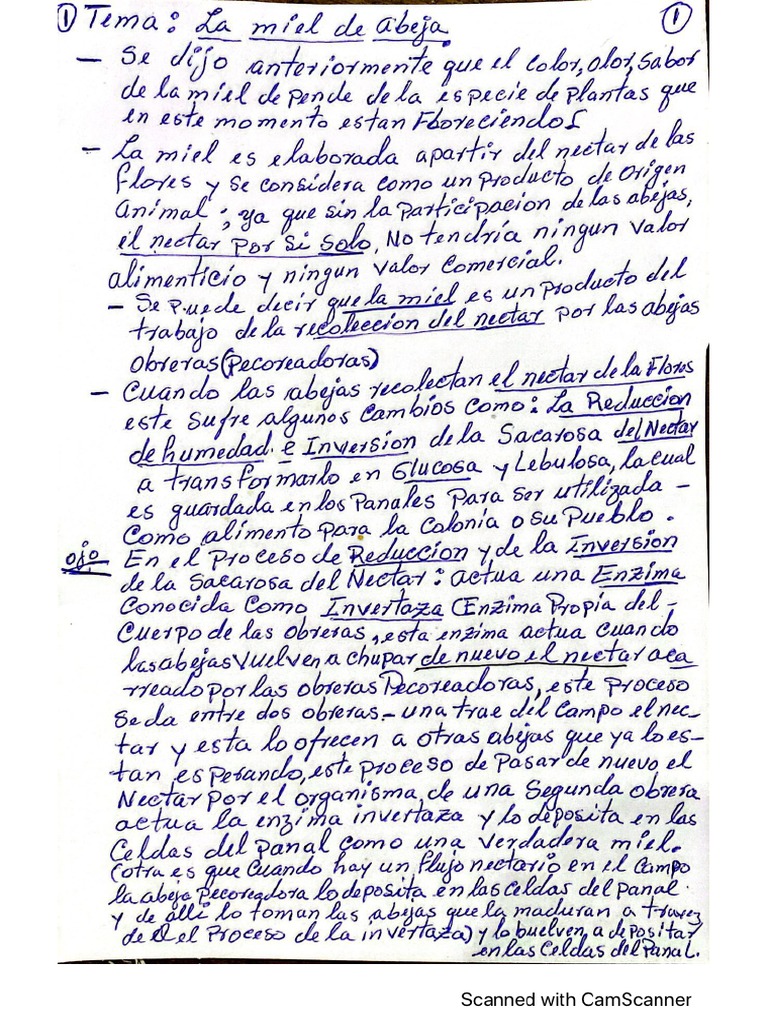 La Miel De Abeja Pdf