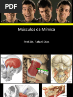 Freio Lingual: Definição e Classificação | PDF | Língua | Boca