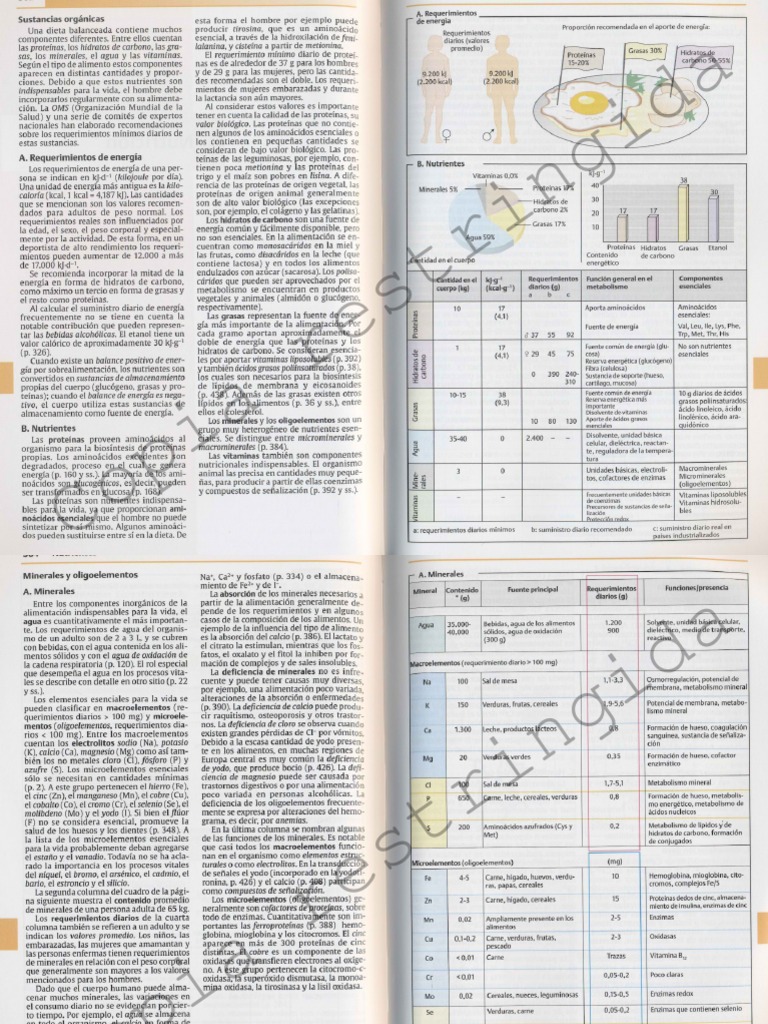 Nutrientes (Bioquimica Humana de Kolman) | PDF