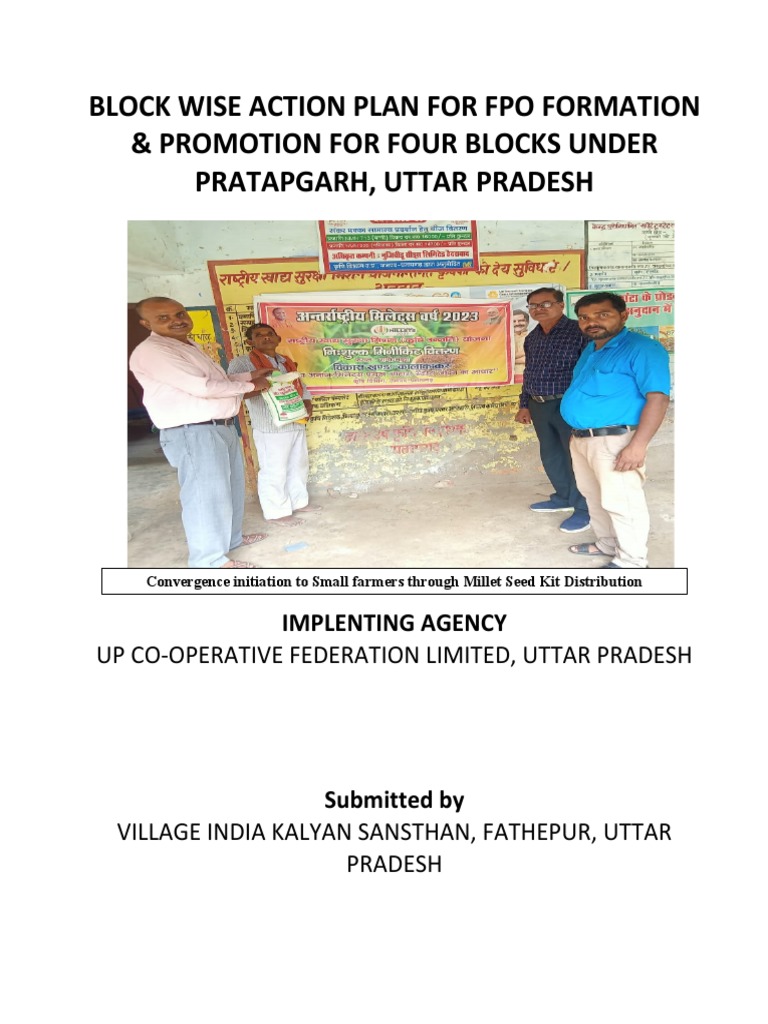 Block Wise Action Plan Report For PCF | PDF