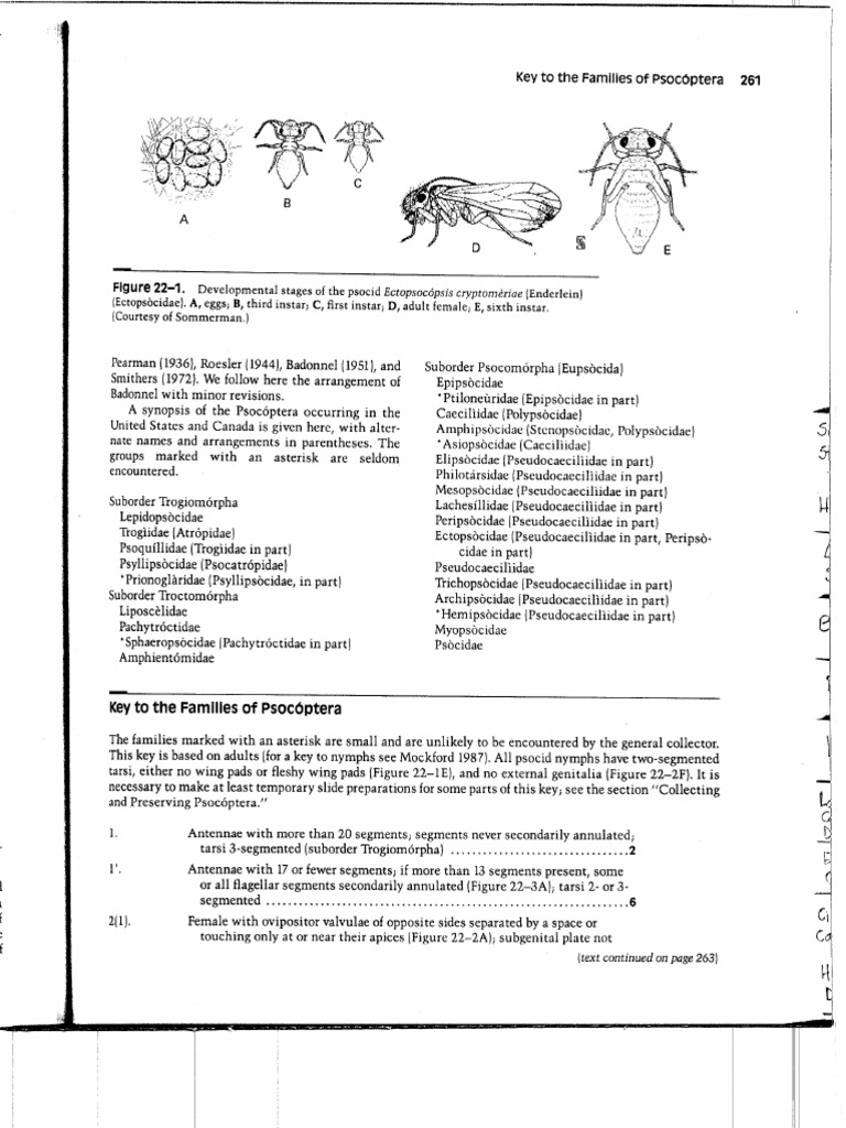 Psocoptera Familias | PDF