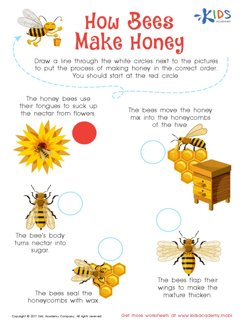 Grade 3 Honey Bee Worksheet | PDF