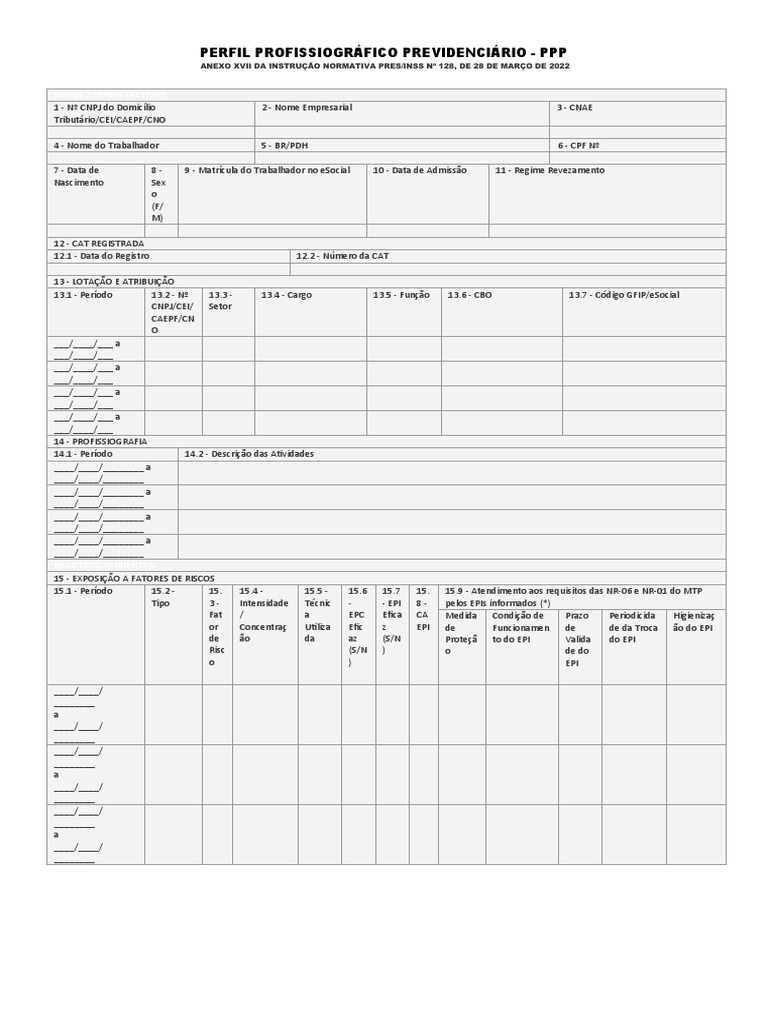 Modelo de PPP 2023 | PDF